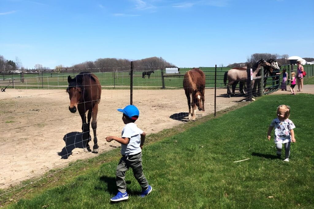 2024 Lansing Summer Camps Guide - Lansing Family Fun