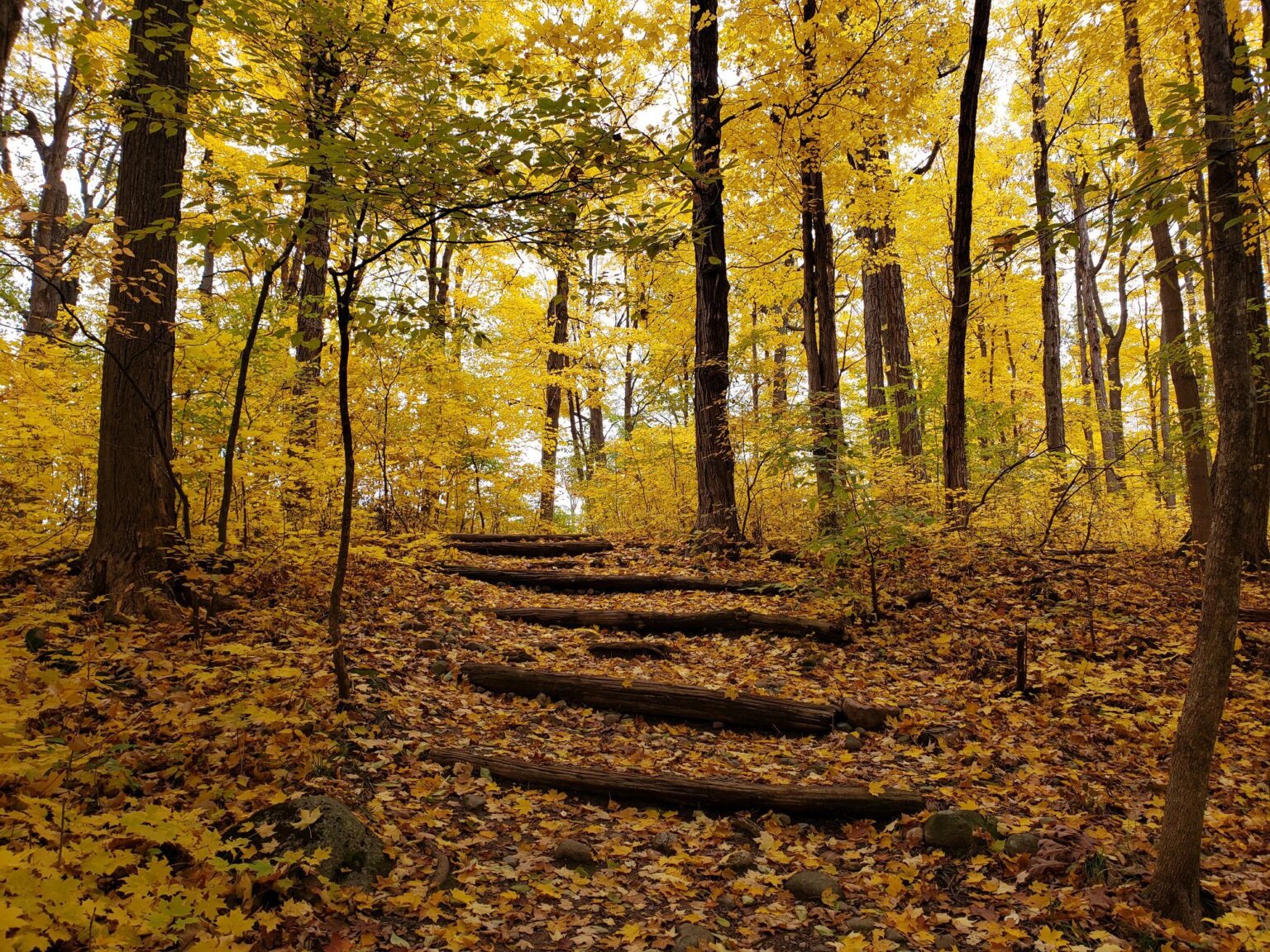 6 Must-Visit Lansing Area Nature Centers with Play Areas, Trails, Animals, & More