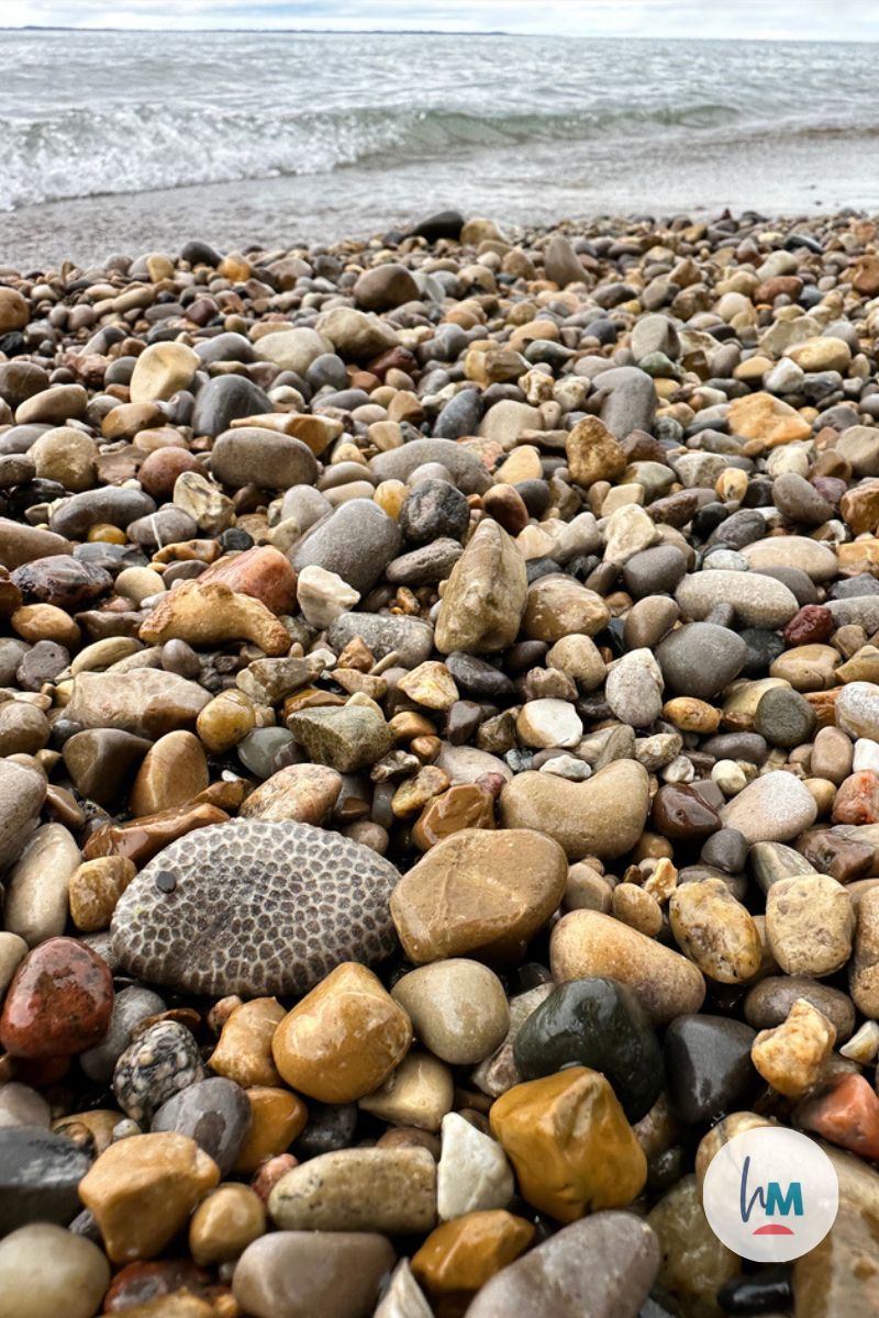 10 Most Fun Things to Do in Torch Lake this Year