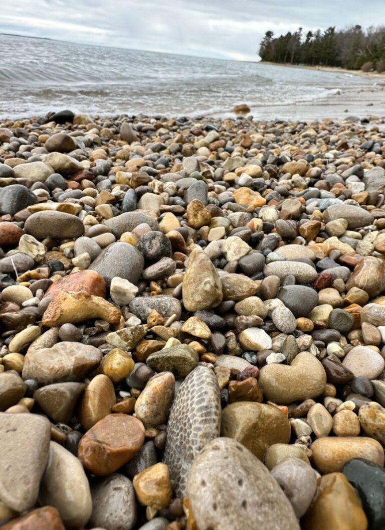 Bellaire Bucket List: 20 Fun Things to Do in Bellaire, MI - Hey Michigan