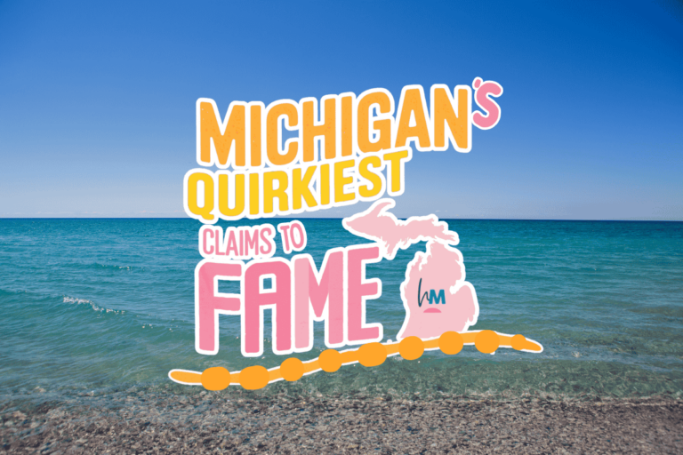 12 Colorful Michigan Flower Farms that Want You to Come Flower Picking