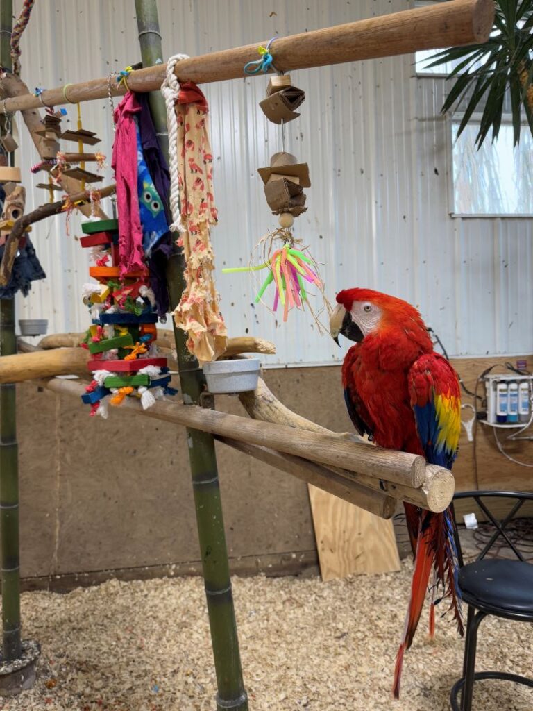 Creature Conservancy - Hey Michigan