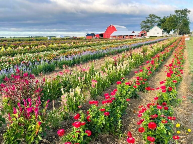 Michigan Bucket List 2025: 12 Months, 12 Ideas for Fun in the Mitten ...