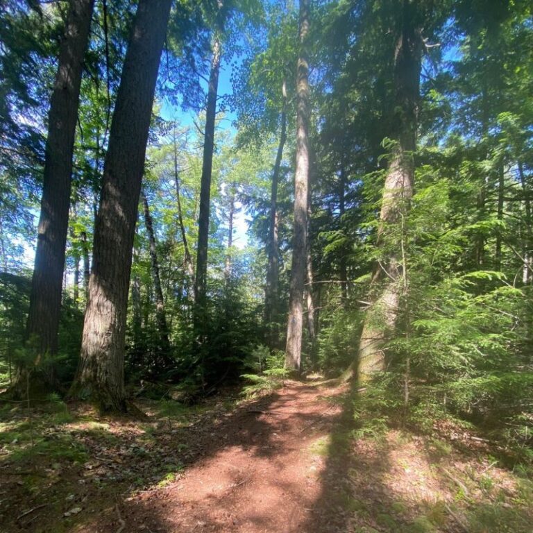 30 Amazing Things to Do in Petoskey MI for Summer, Spring & Fall