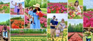 12 Prettiest Flower Fields in Michigan