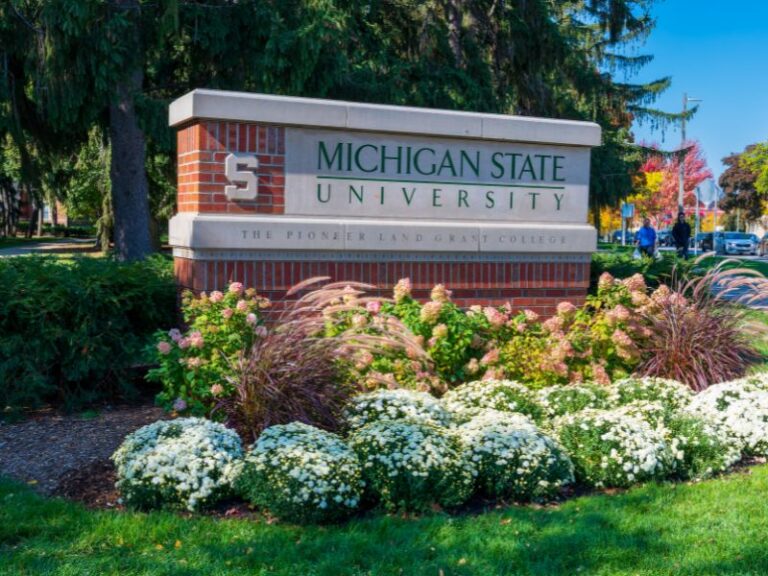 Discover Why Families Can’t Get Enough of Lansing's Impression 5 ...