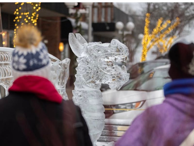 Ice Fest // St. Joseph - Hey Michigan