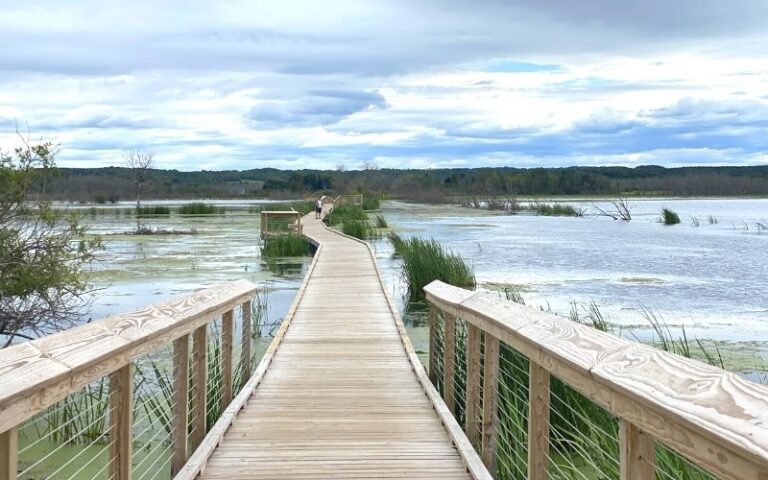 Take This Tucked-Away, Up North Boardwalk for Epic Wildlife & Nature ...