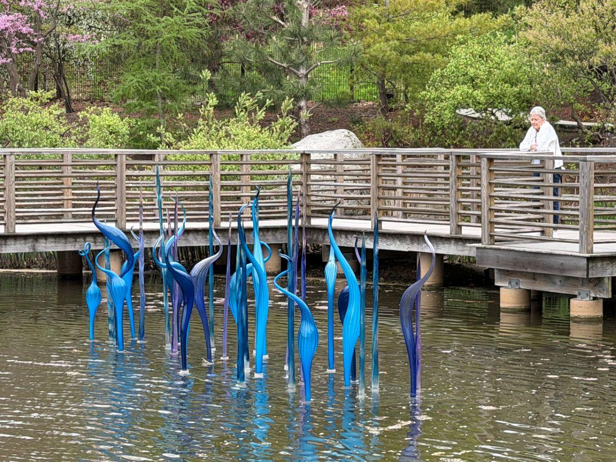 See Chihuly's Giant Glass Sculptures Take Over Meijer Gardens This Summer!